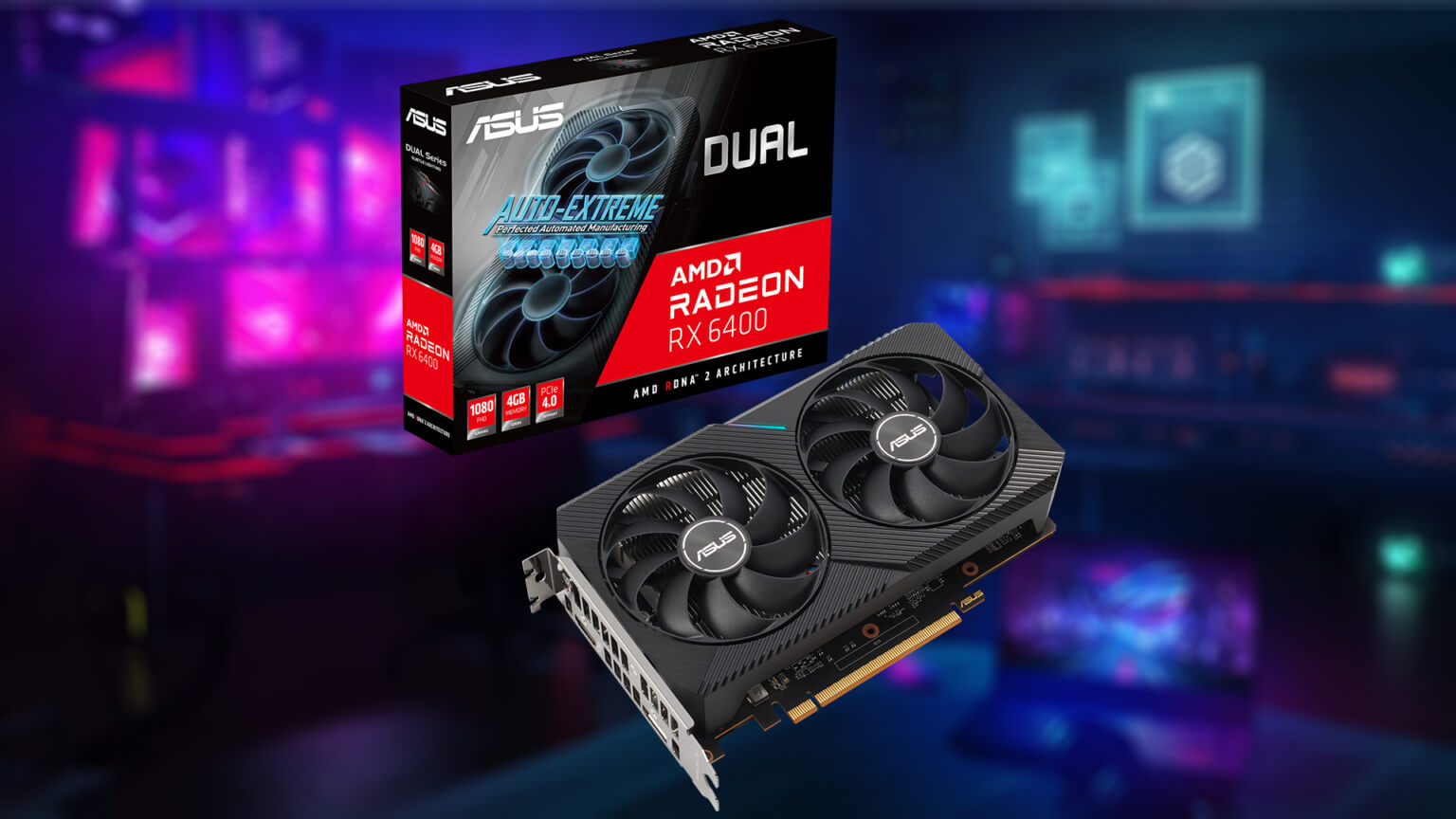 ASUS announces AMD Radeon RX 6400 graphics cards - Tech Edition