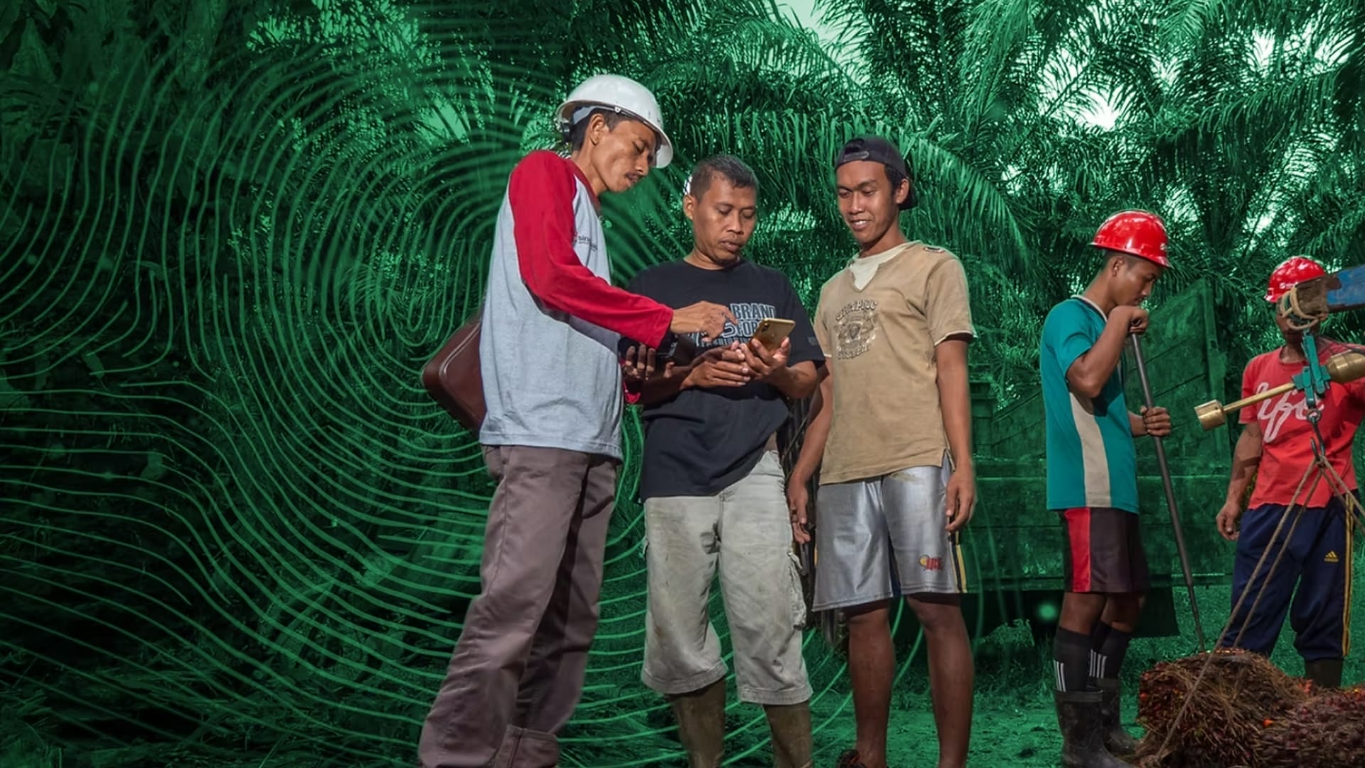 Koltiva strengthens its role as Southeast Asia's partner for EUDR ...