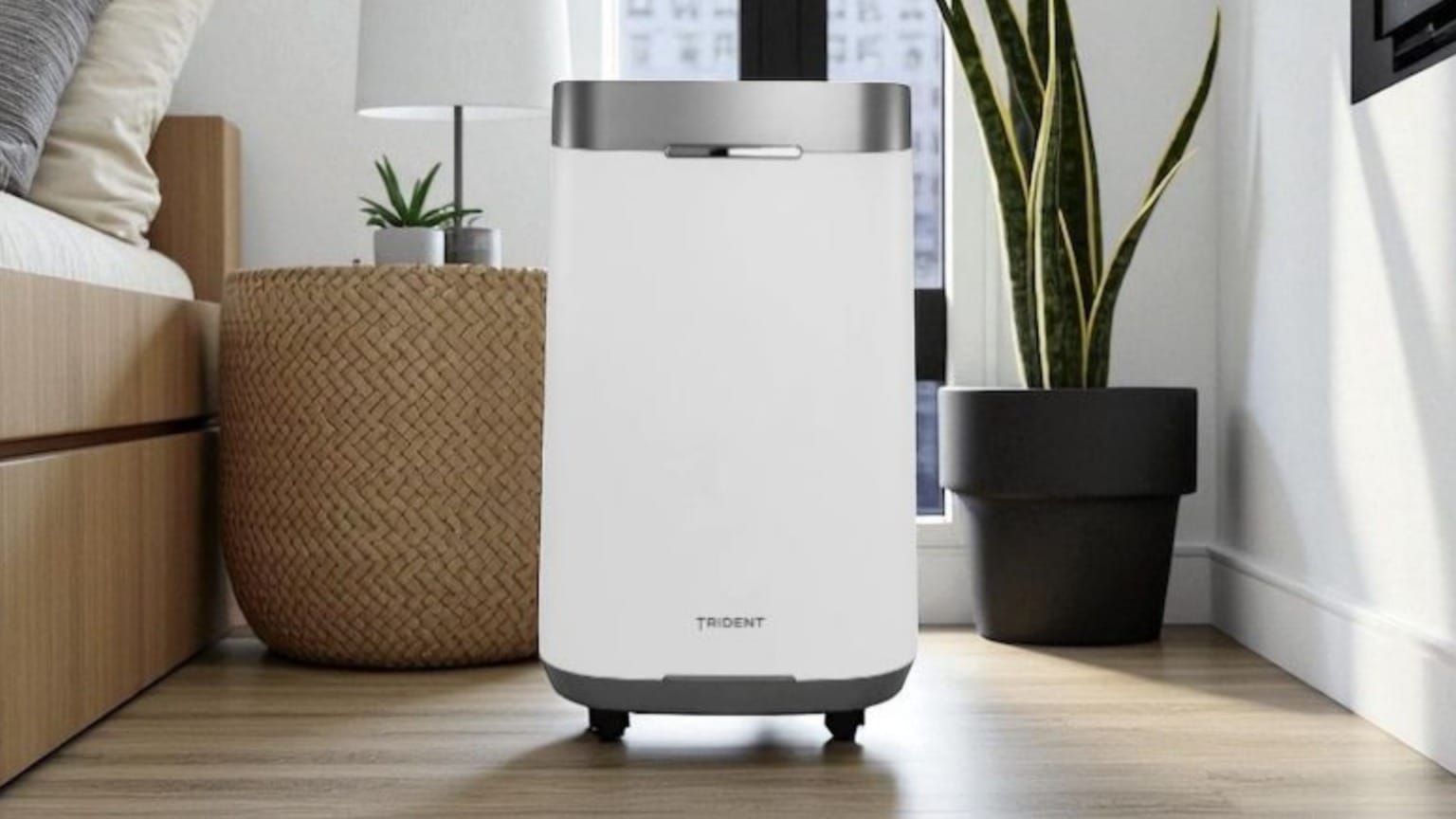 TridentAir and Crestar Education Group partner to enhance air safety in ...